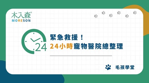 緊急救援！「24小時動物醫院」完整清單、評價、費用 - 木入森Moreson｜寵物保健食品｜犬貓營養分類 精準保健補充