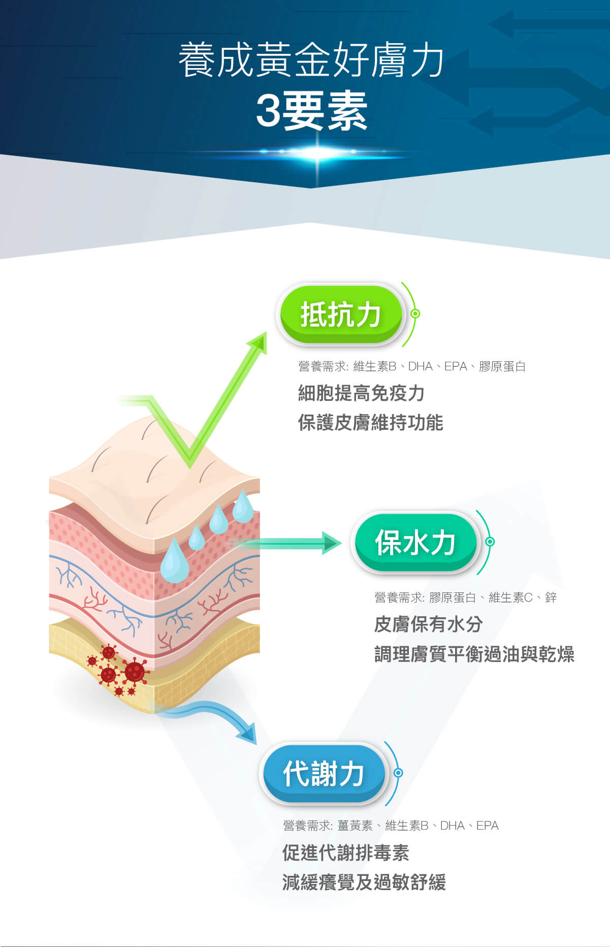 木入森膚立好60顆｜狗狗皮膚保健，異位性皮膚炎機能營養複方 - 木入森Moreson｜寵物保健食品｜全方位守護毛孩健康